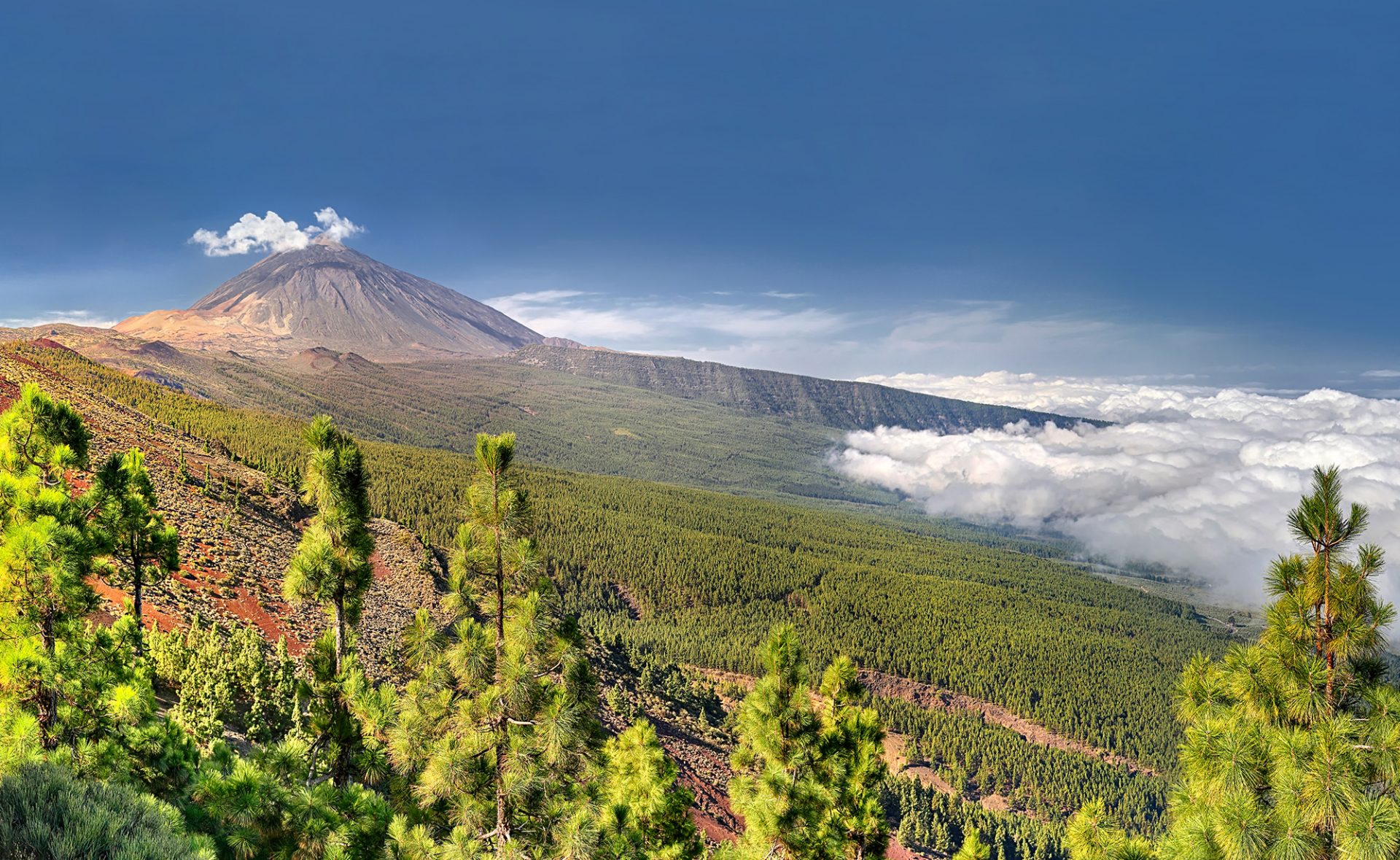 Wulkan Teide na Teneryfie wszystko co musisz wiedzieć - Wyspy ...
