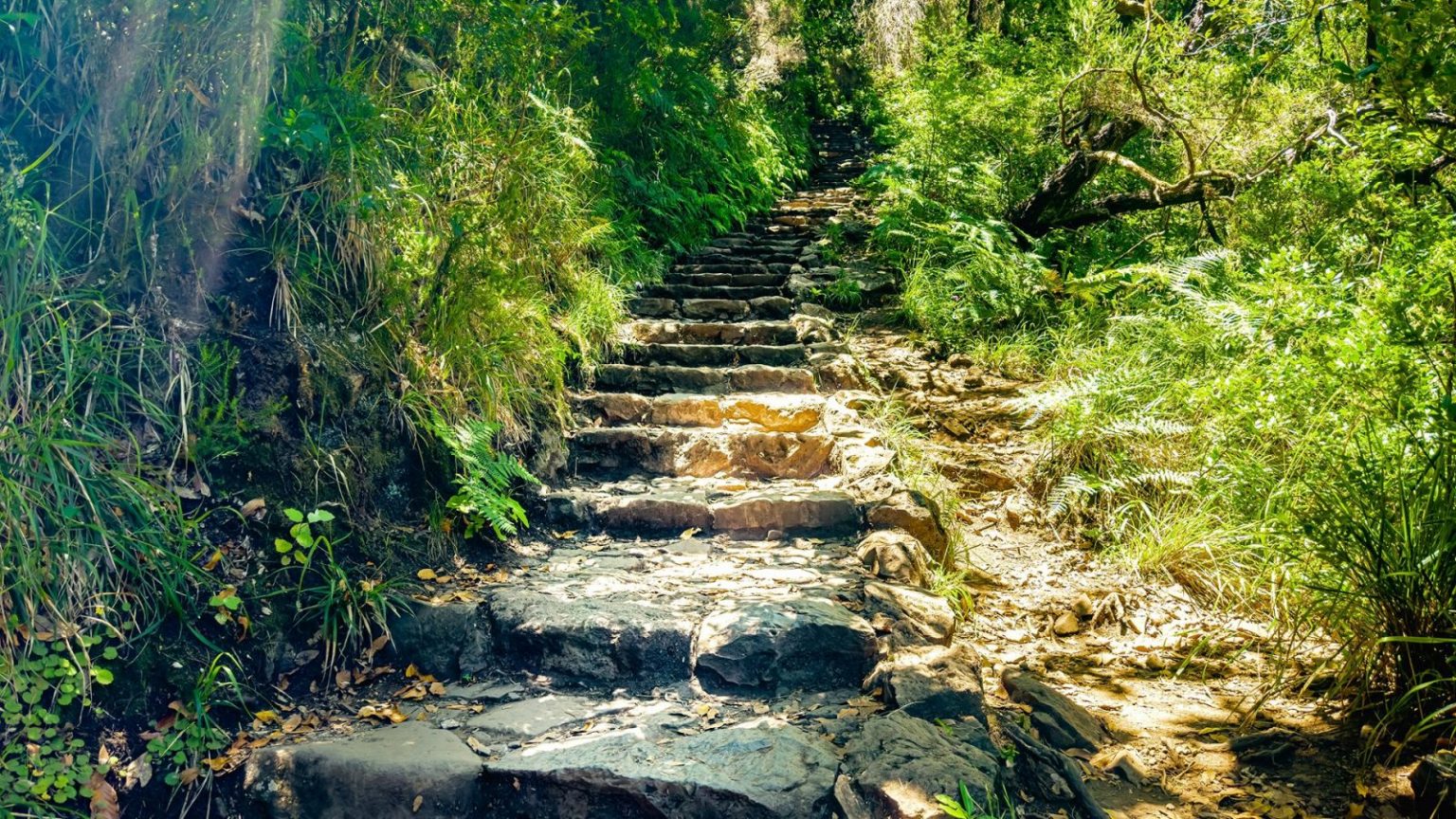 Madera – co warto wiedzieć przed wyjazdem? - Madera - Blog | Biuro ...