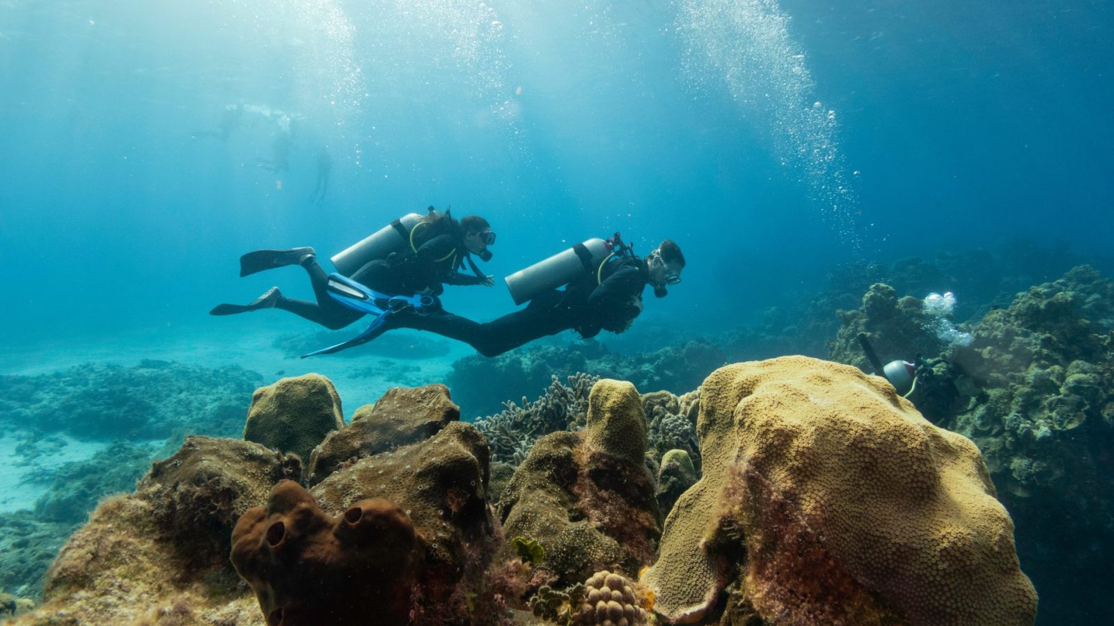 Nurkowanie w Egipcie - najczęściej zadawane pytania - Egipt, Afryka ...
