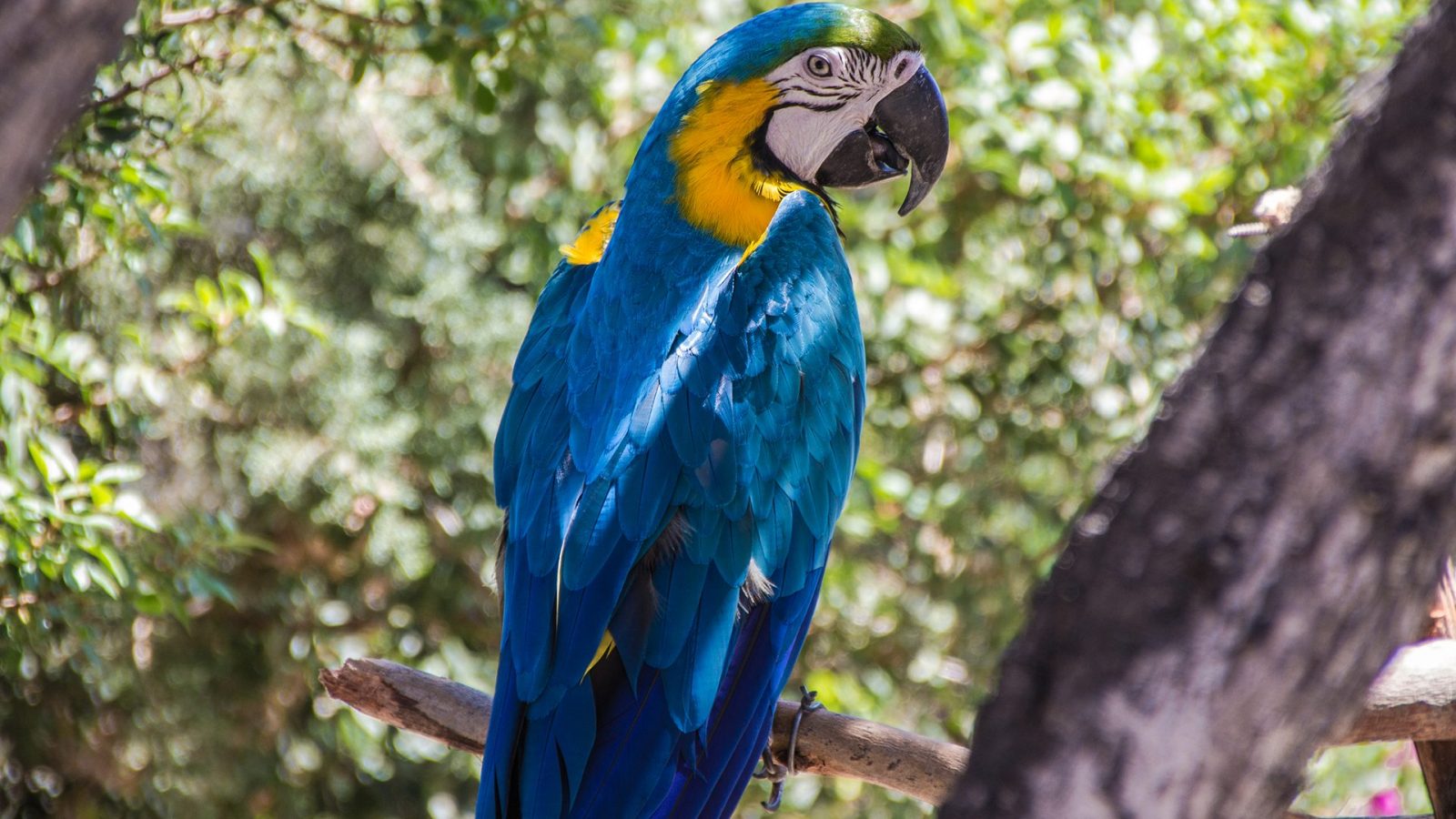 Pafos – najlepsze atrakcje turystyczne - Cypr - Blog | Biuro Podróży ITAKA