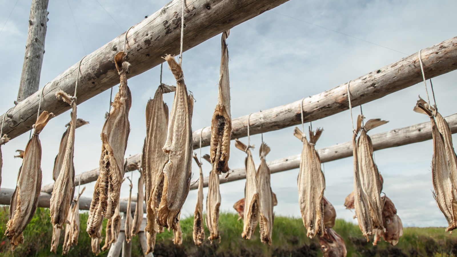 Zwariowana kuchnia islandzka – co zjeść na Islandii? - Europa, Islandia ...