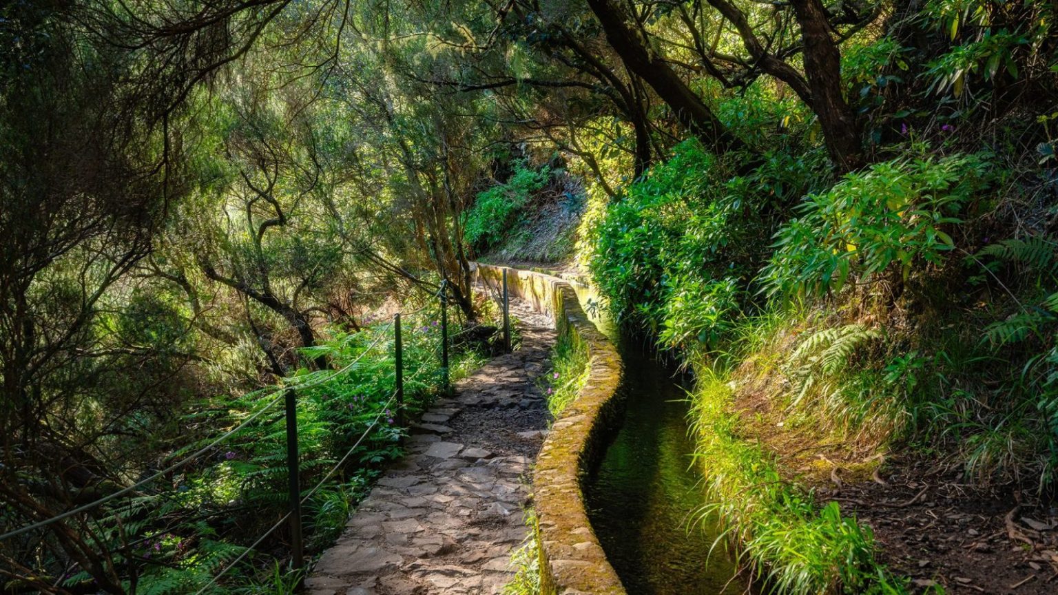 Atrakcje Madery – co zobaczyć na wyspie wiecznej wiosny? - Madera - Blog | Biuro Podróży ITAKA