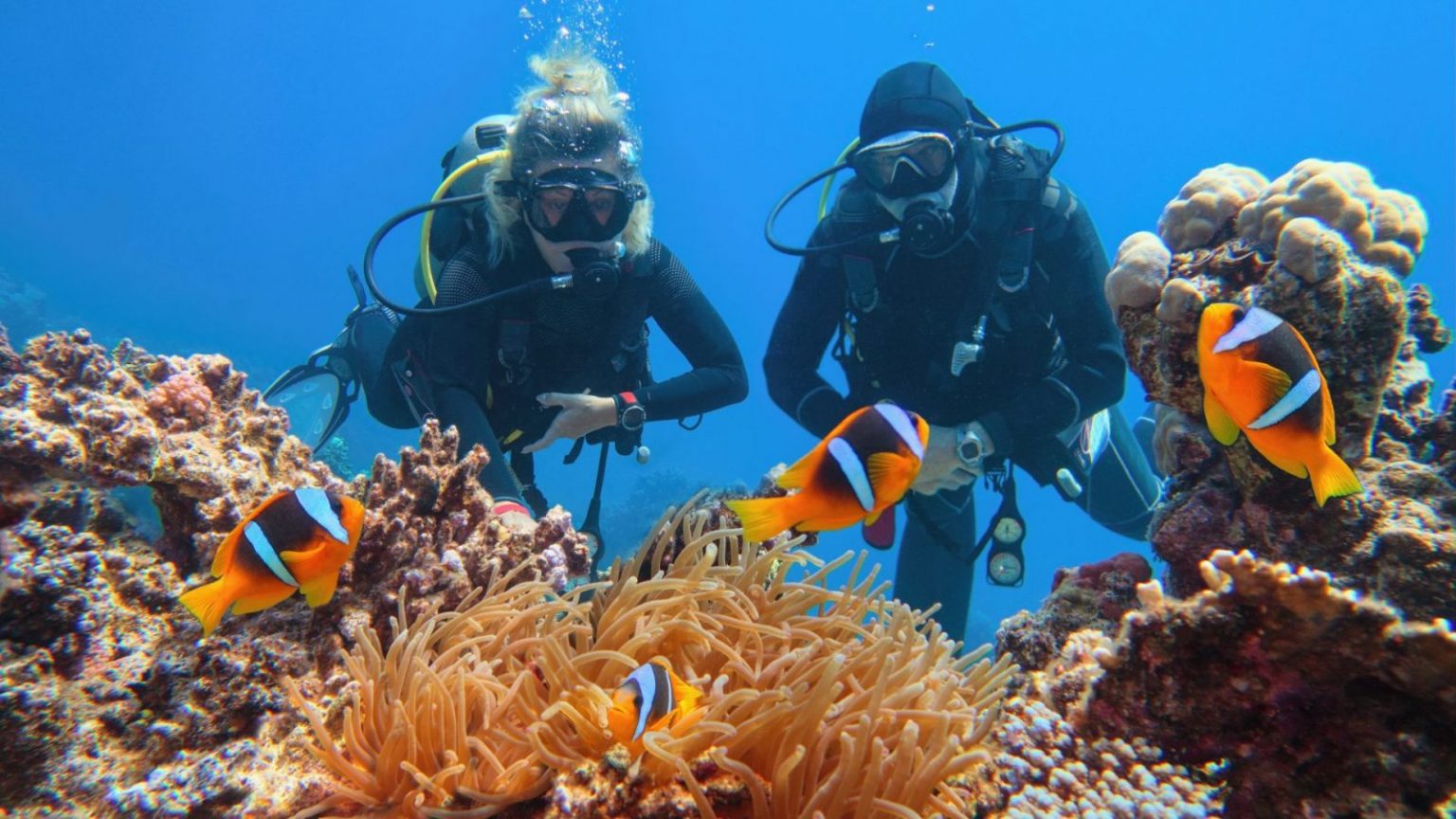 Nurkowanie w Egipcie - najczęściej zadawane pytania - Egipt, Afryka ...