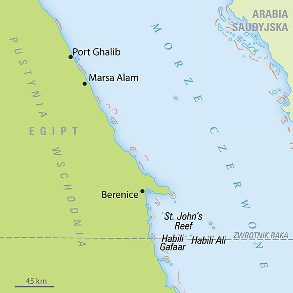 Safari nurkowe - St. John’s - Marsa Alam, Egypt - No limits, Reviews ...